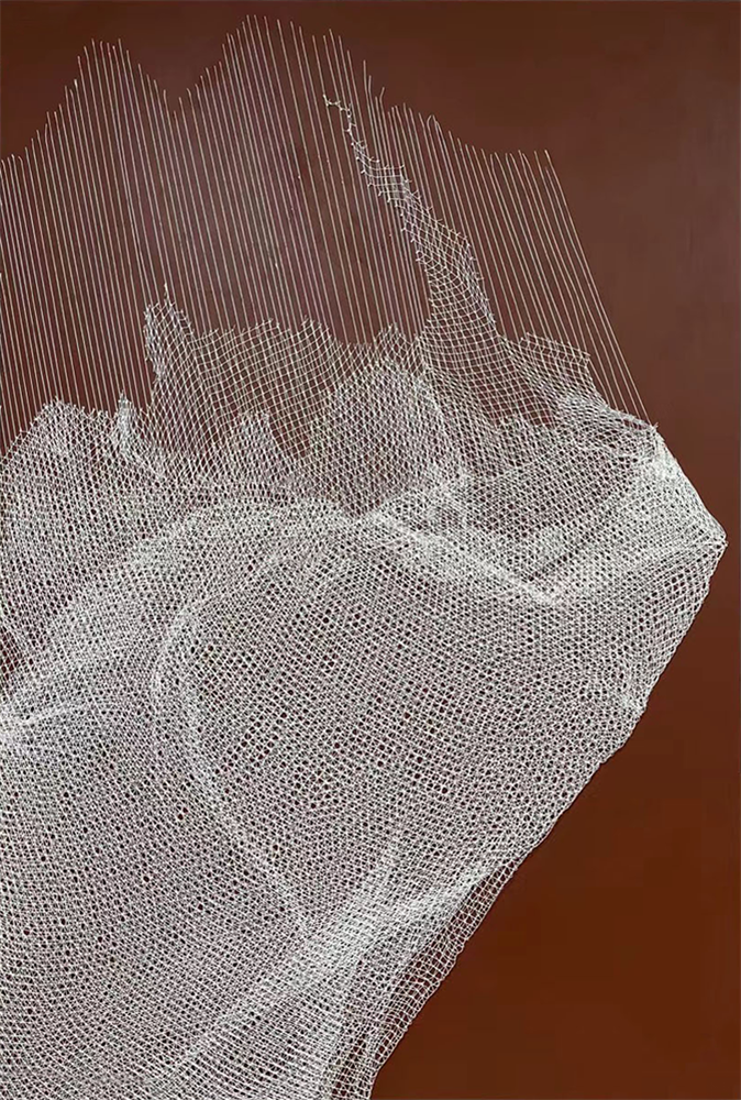 Thin Mesh Pattern Creating a Unique Artistic Display – Oil Paintings ...